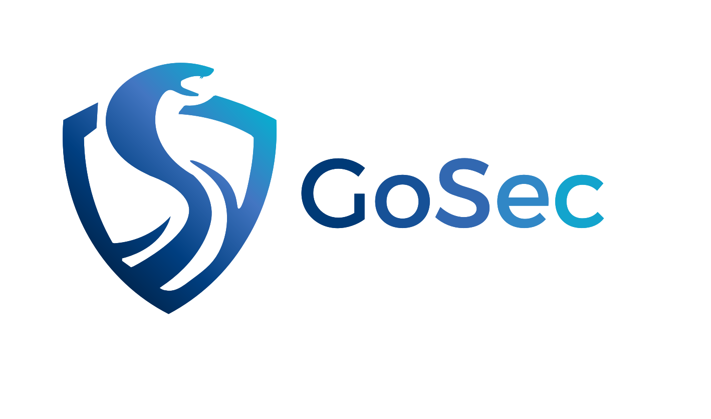 GoSec - Expertise en cybersécurité - Audit & Conseil